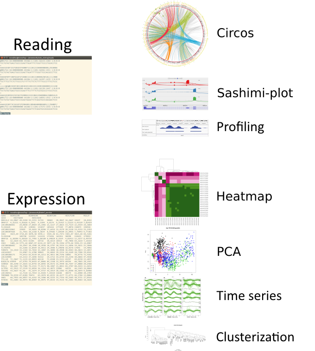 Visualization of biological data
