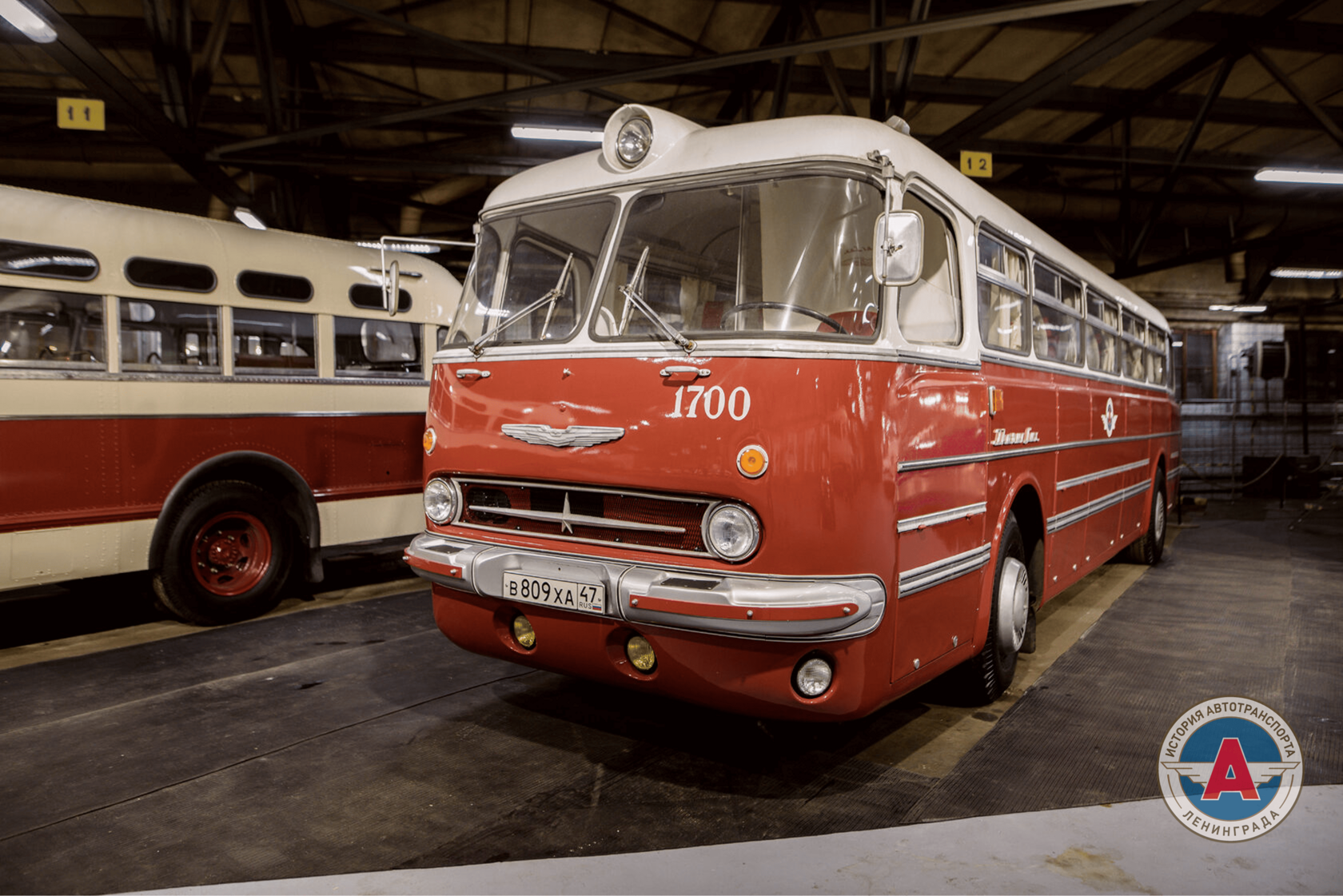 Ikarus 55.14 LUX: история и характеристика