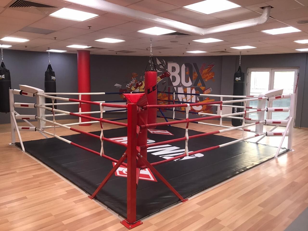 "FL-Floor boxing ring. PRO" - Fight Life