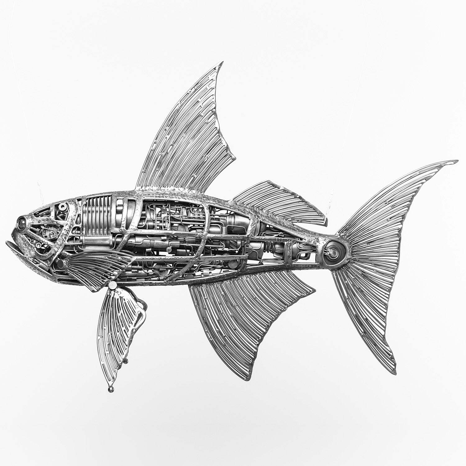 Diesel Fish - Denis Kulikov