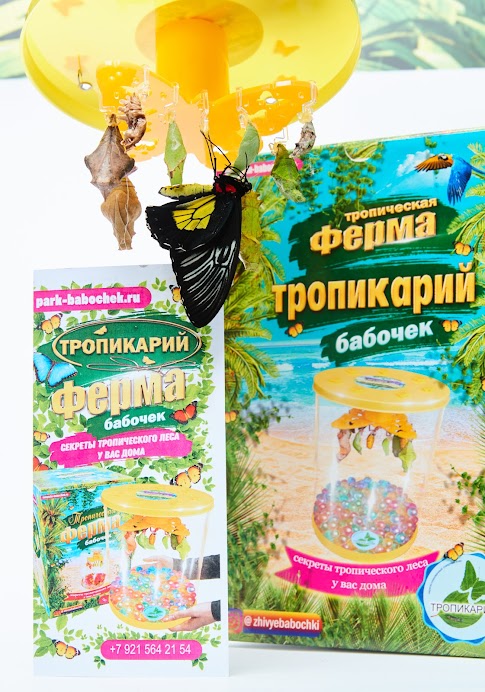 Тропикарий 5 куколок