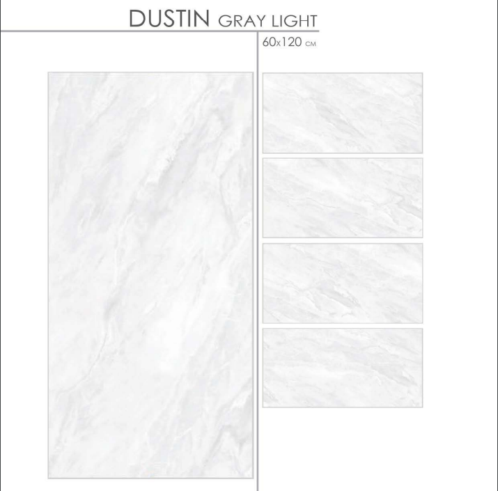 Dustin gray light 60x120