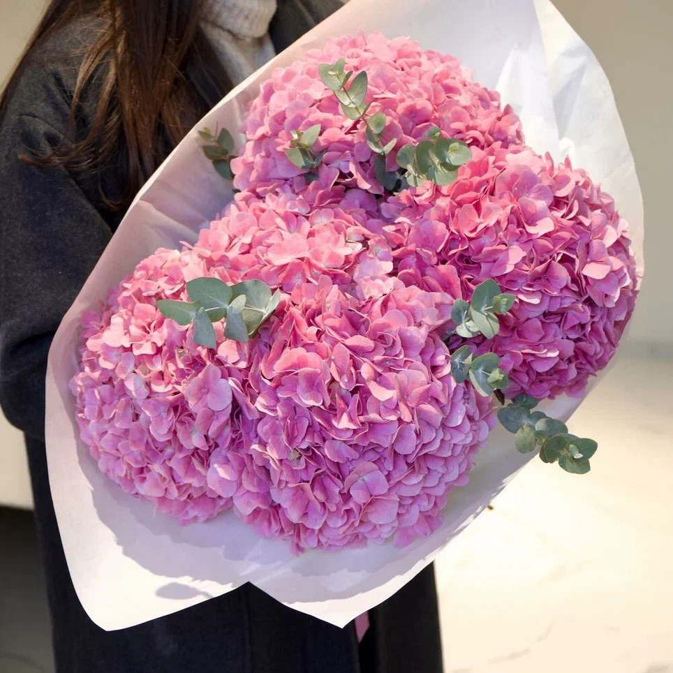 Bloom Dreams