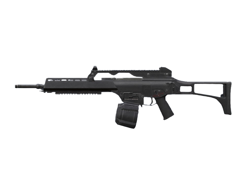 G36