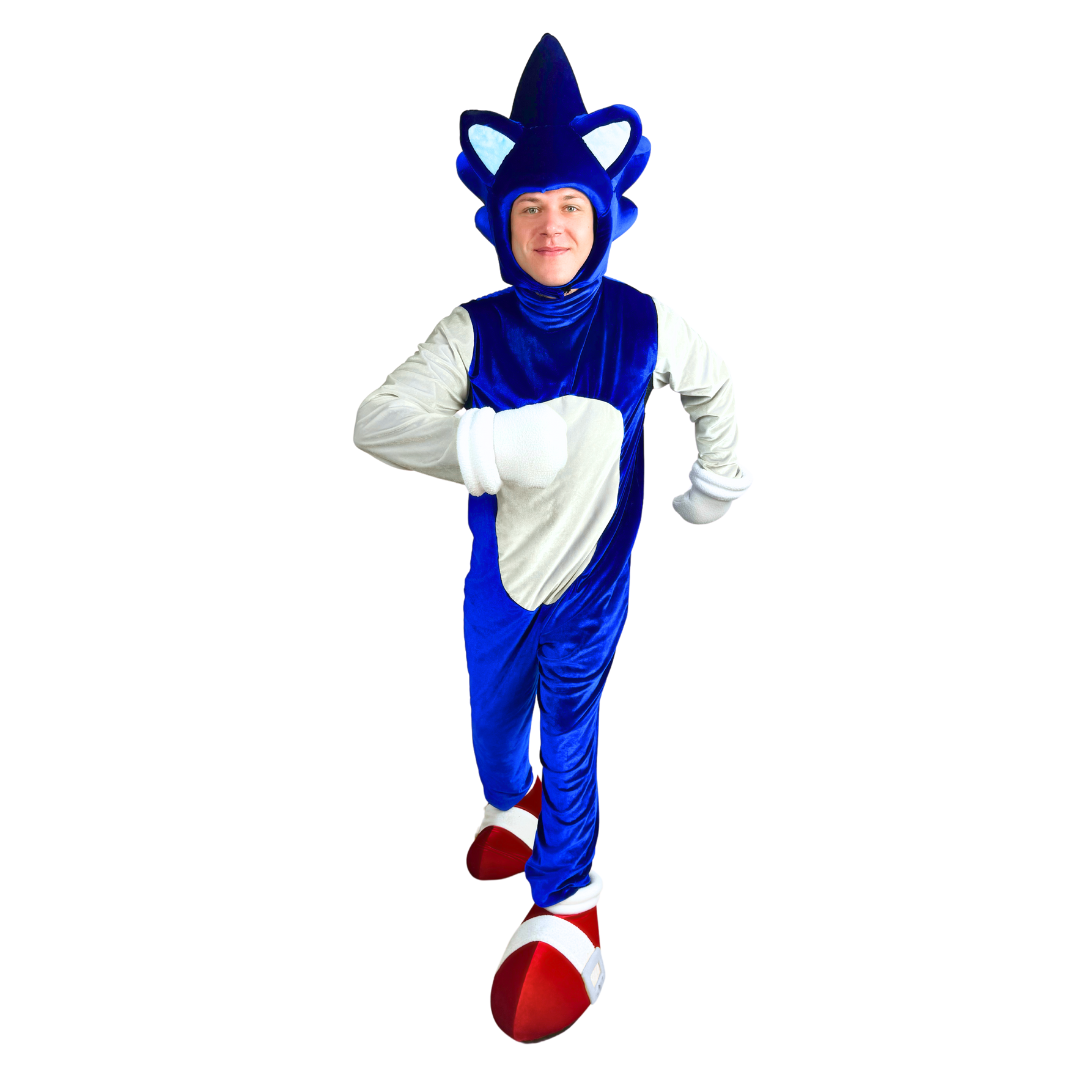 Sonic Entertainer in Dubai