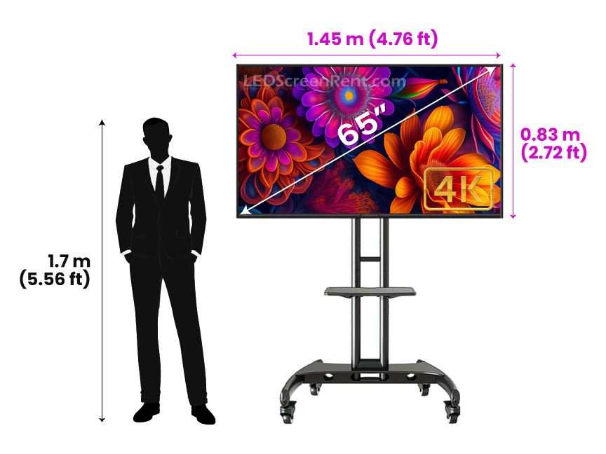 65 inches TV screen to hire
