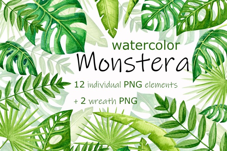 Watercolor monstera clipart Green tropical leaves PNG Jungle