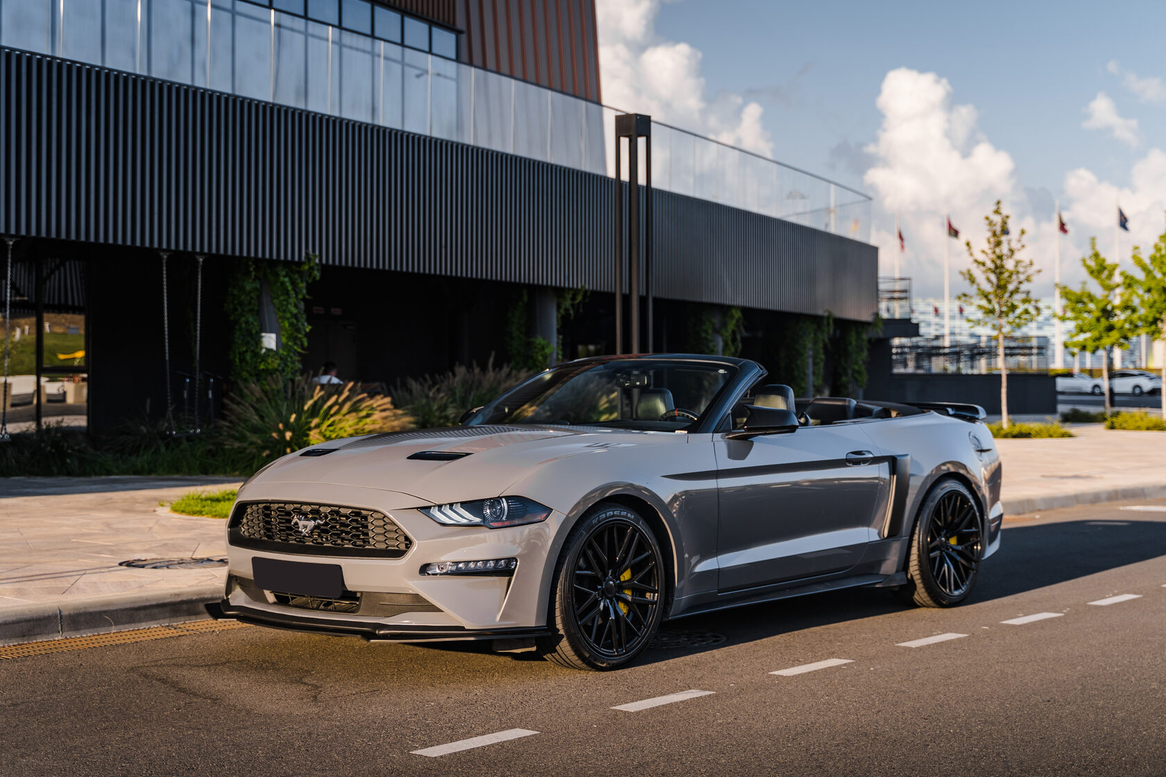 Ford Mustang Grey
