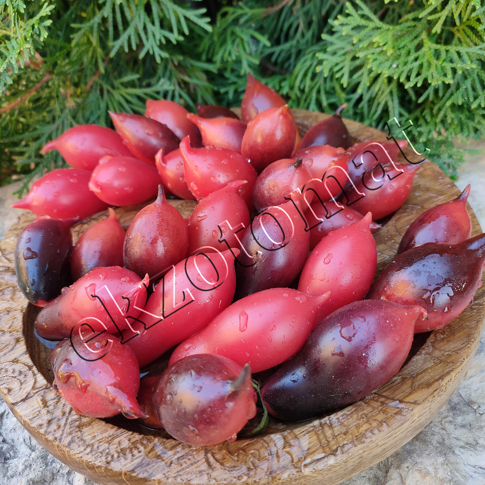 Томат Кумкват розовый опал