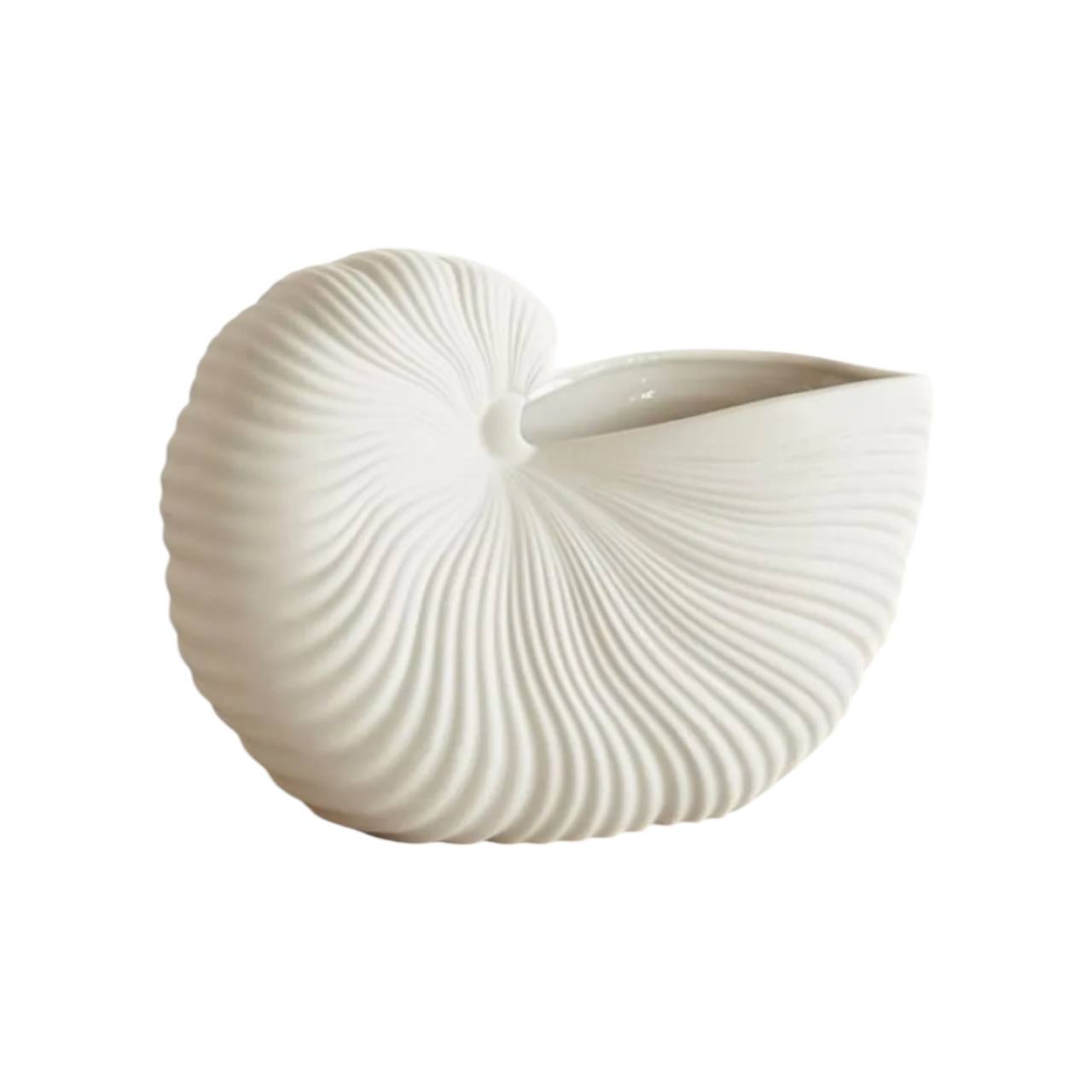 SEASHELL VASE