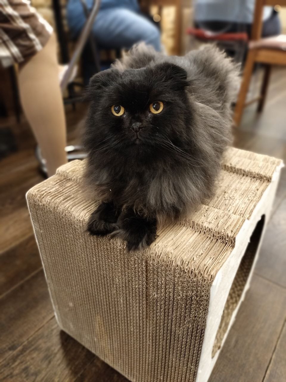 Милан