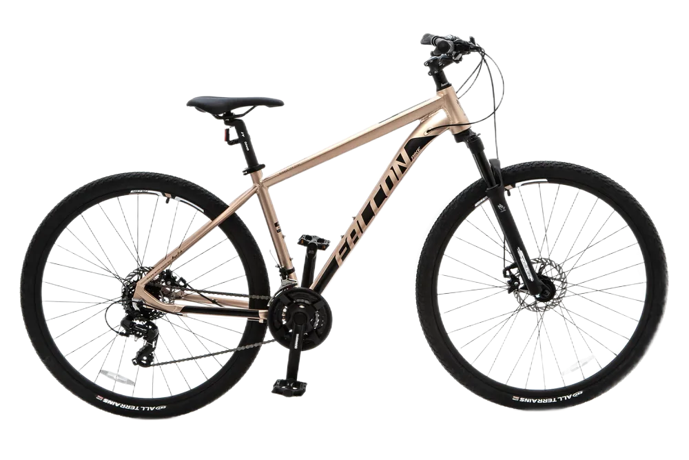 FIRST 1.0 29" - FALCON BIKE