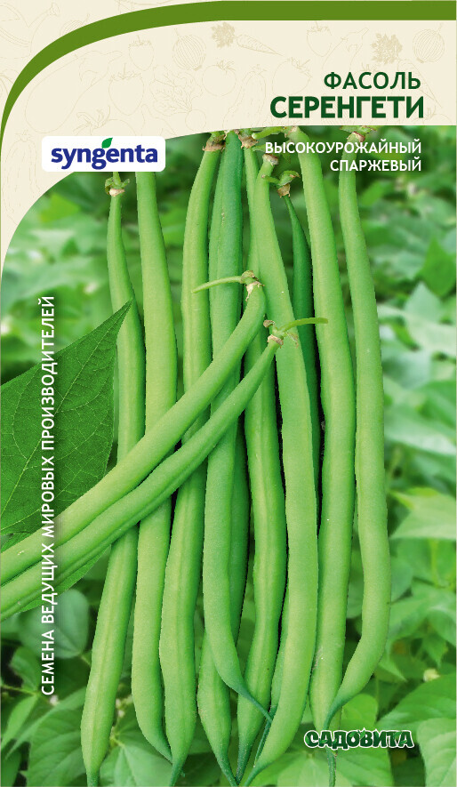 Фасоль Серенгети 10шт Syngenta