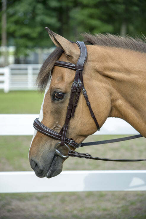 HENRI DE RIVEL PRO MONO-CROWN PADDED WIDE NOSEBAND BRIDLE