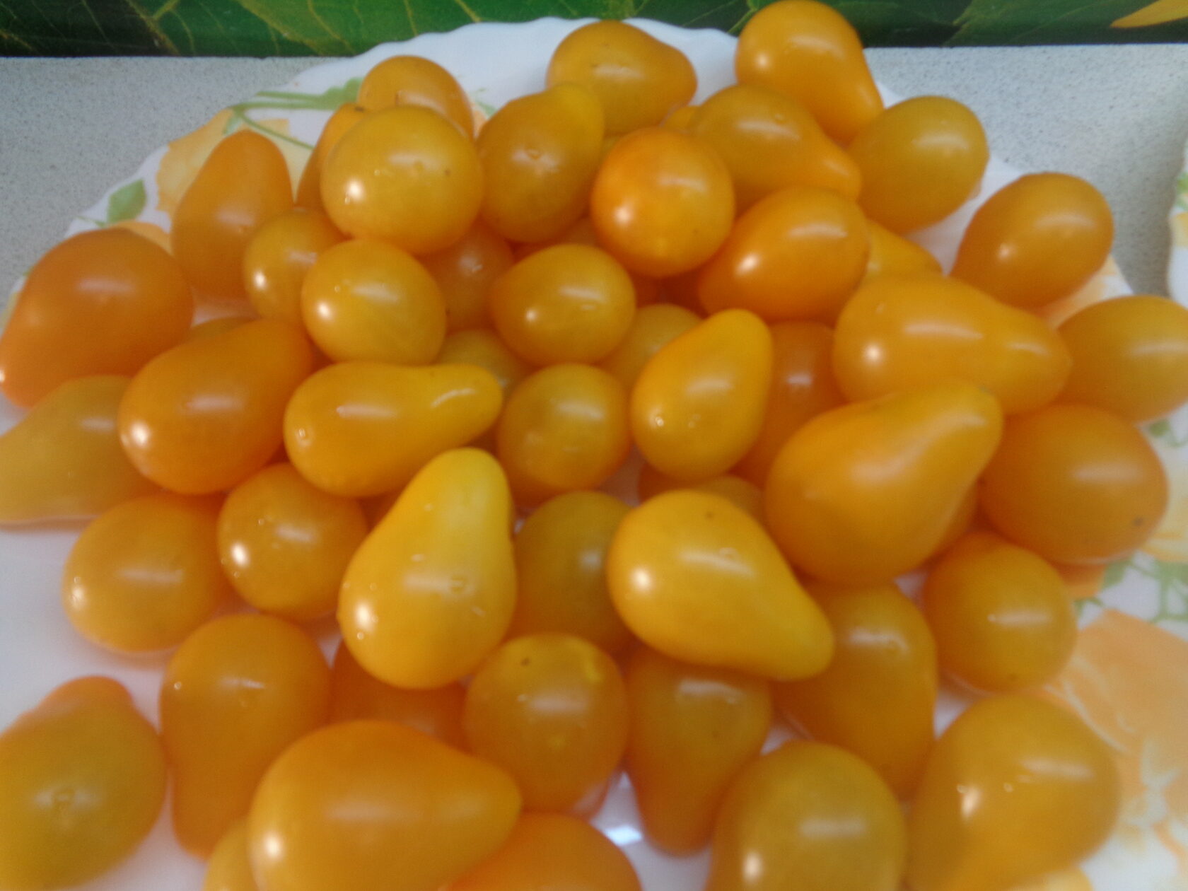 104. Медовая капля.