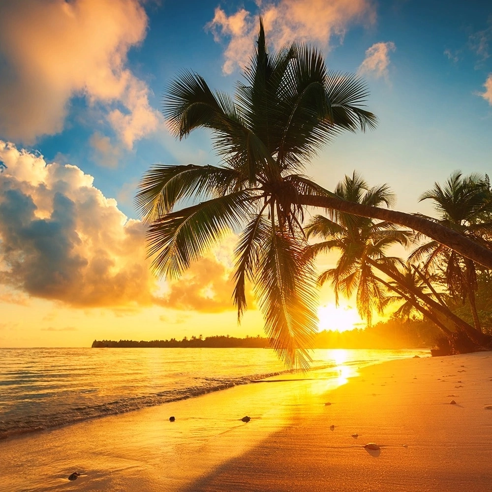 CandleScience солнечные пески Solar Sands