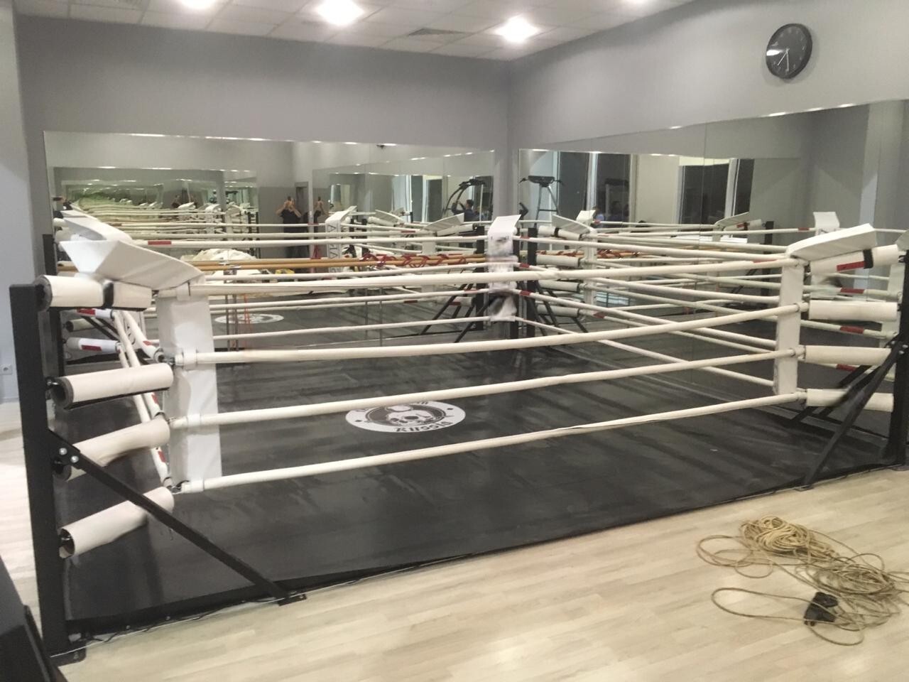 "FL-Floor boxing ring. Sparring" - Fight Life