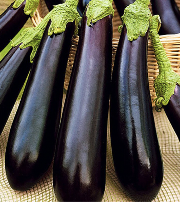 Баклажан "Ірис F1" (Cora Seeds) 10 шт