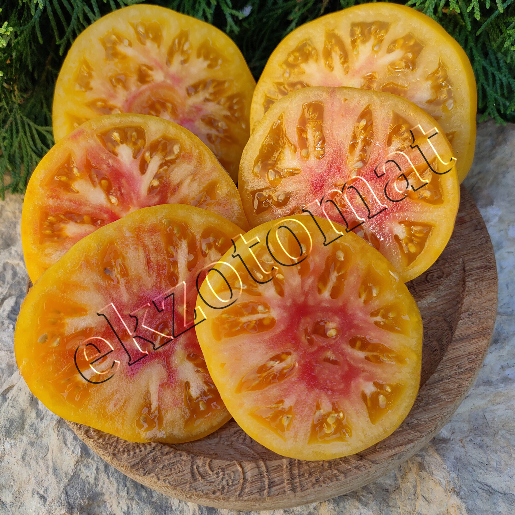 Томат Козула 136, Kozula 136