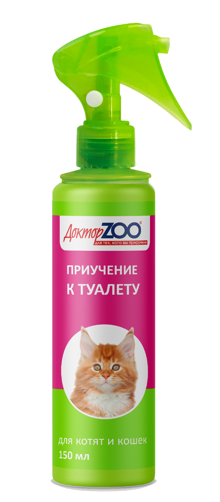 Приучение КОТЯТ к туалету