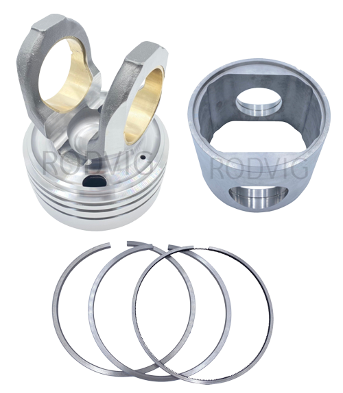 Поршень в сборе RODVIG 4089801