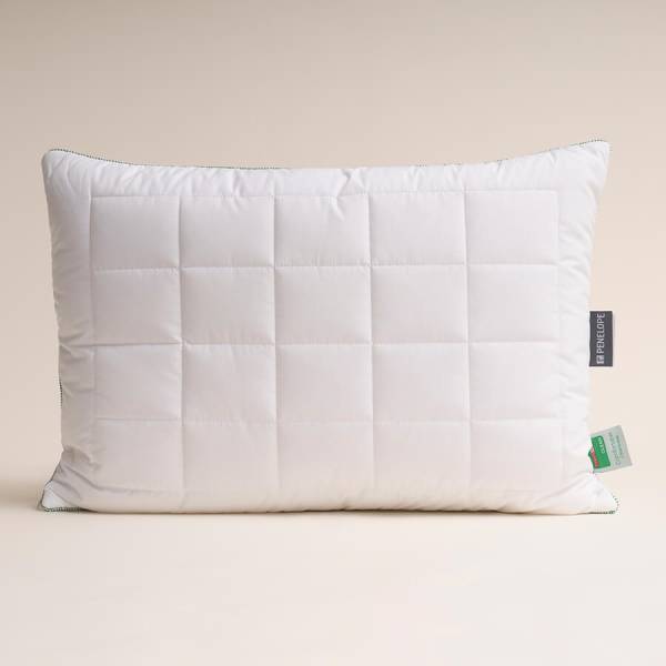 Подушка антибактериальная Penelope Thermoclean 50x70