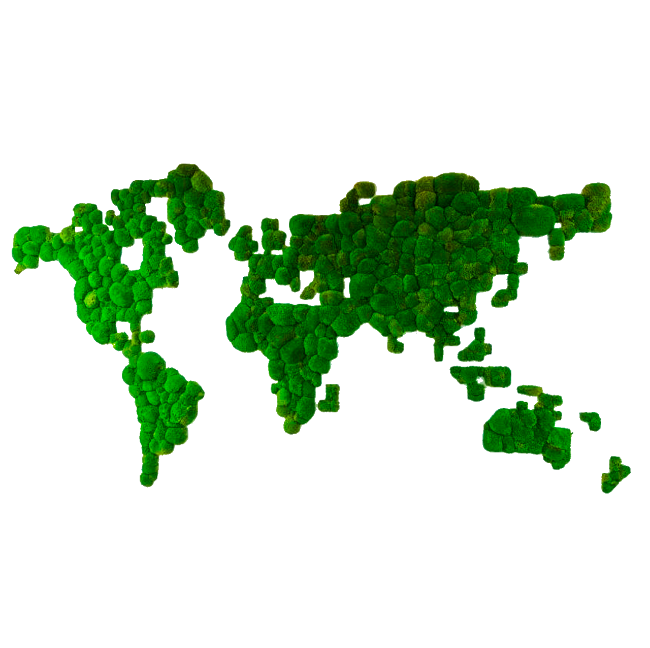 Карта мира "World Map Bumps"