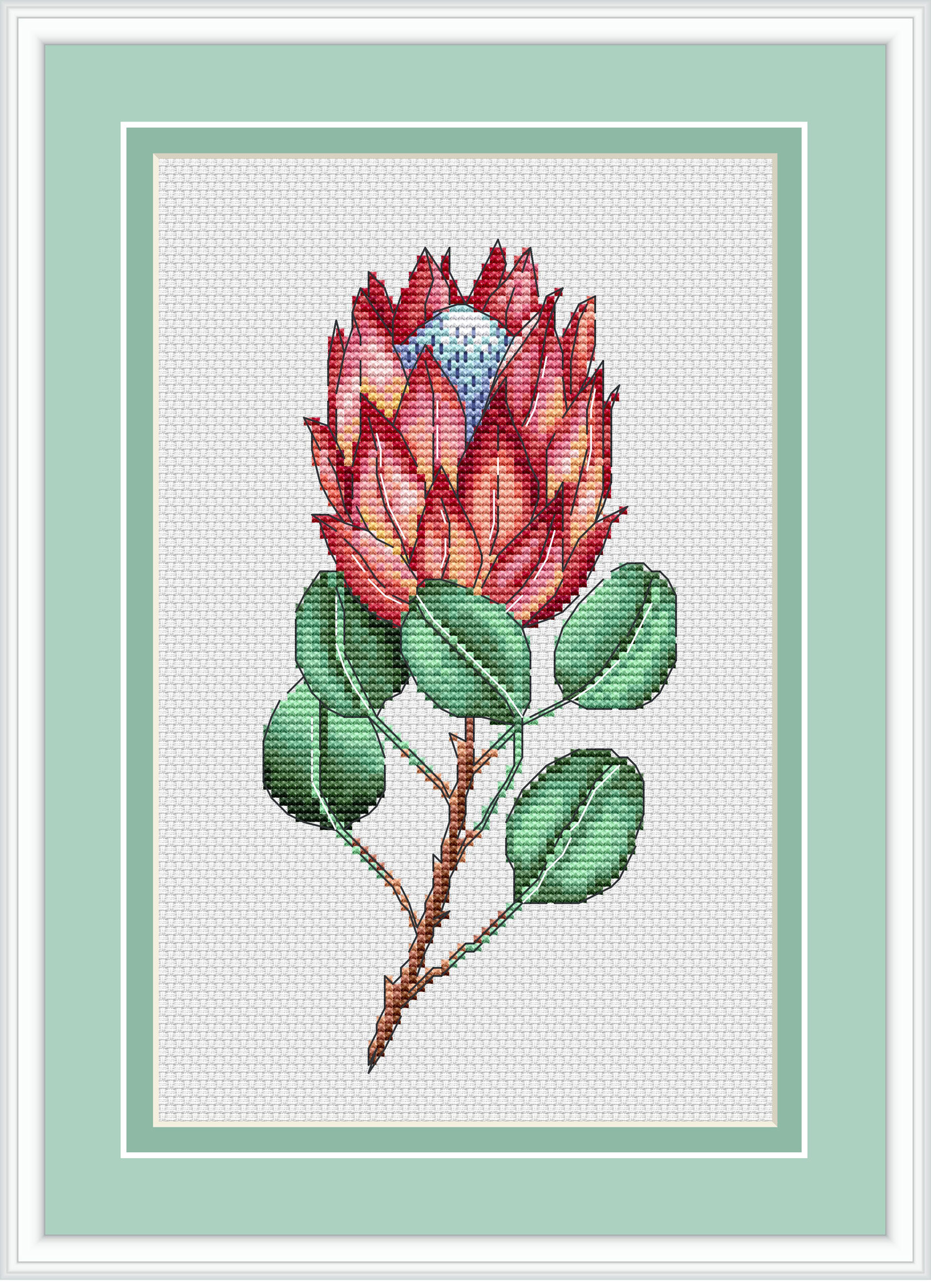 Protea Cross Stitch Pattern