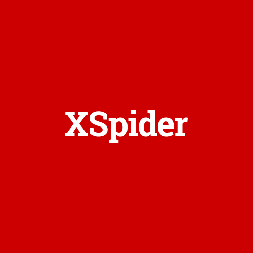 XSpider. Лицензия на 4096 хостов