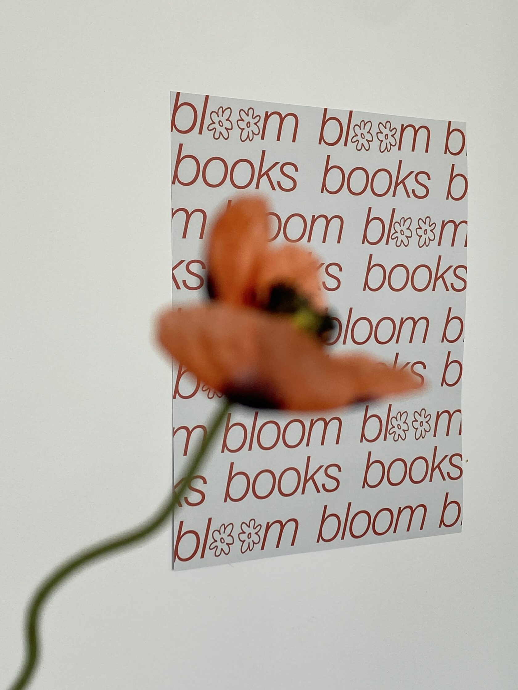 ПЛАКАТ BLOOM BOOKS