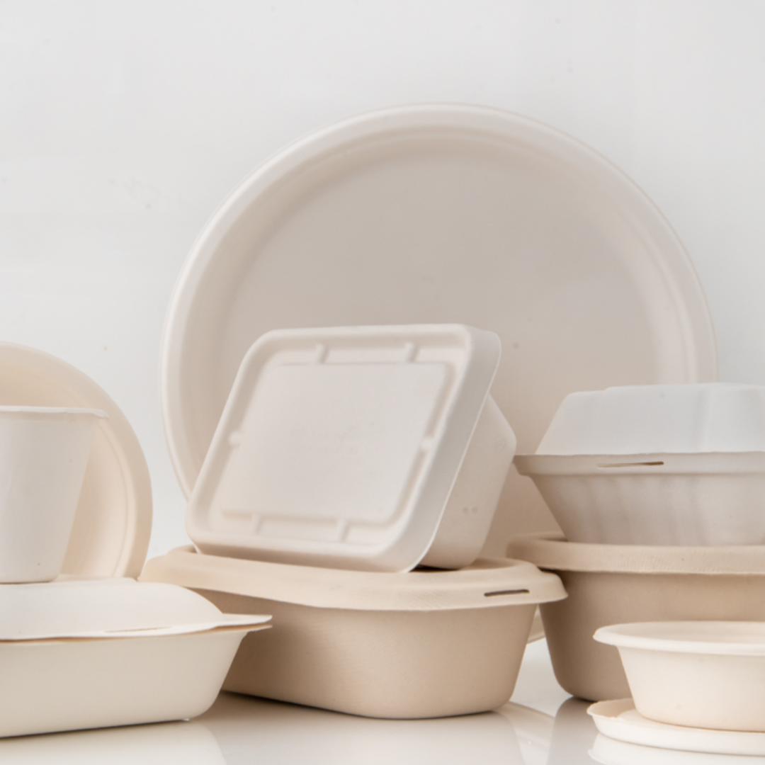 Bagasse Containers (ECO)