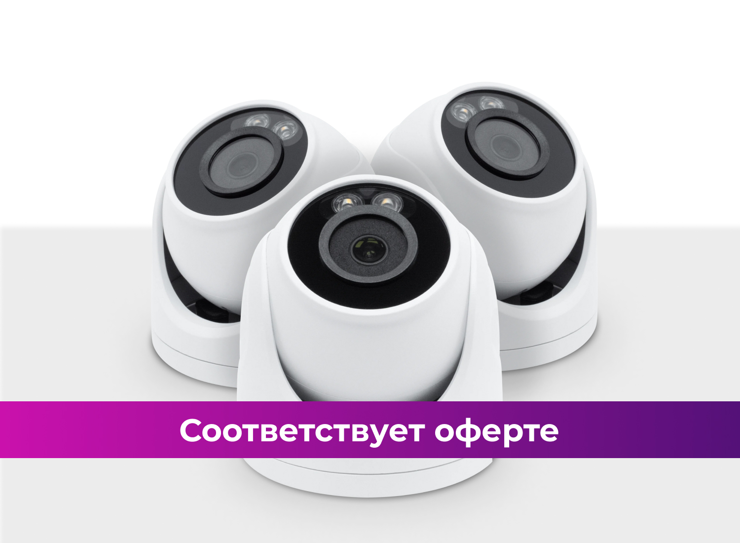 Видеонаблюдение для ПВЗ. Комплект купольных камер LinkVideo.