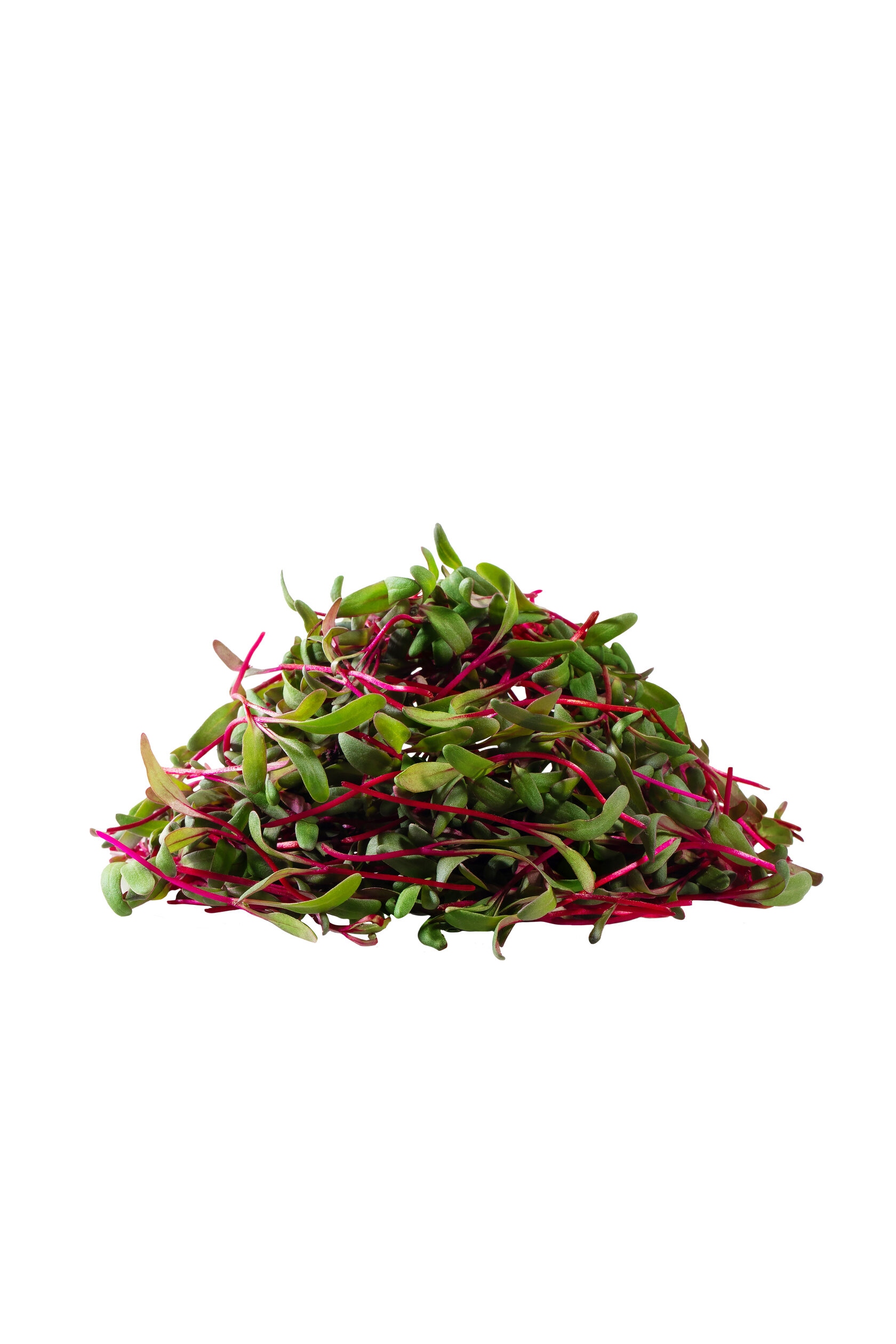 Beetroot - Microgreen Cut