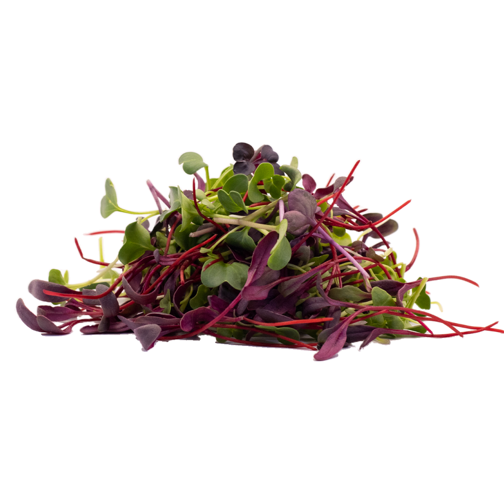 Microgreens Mix