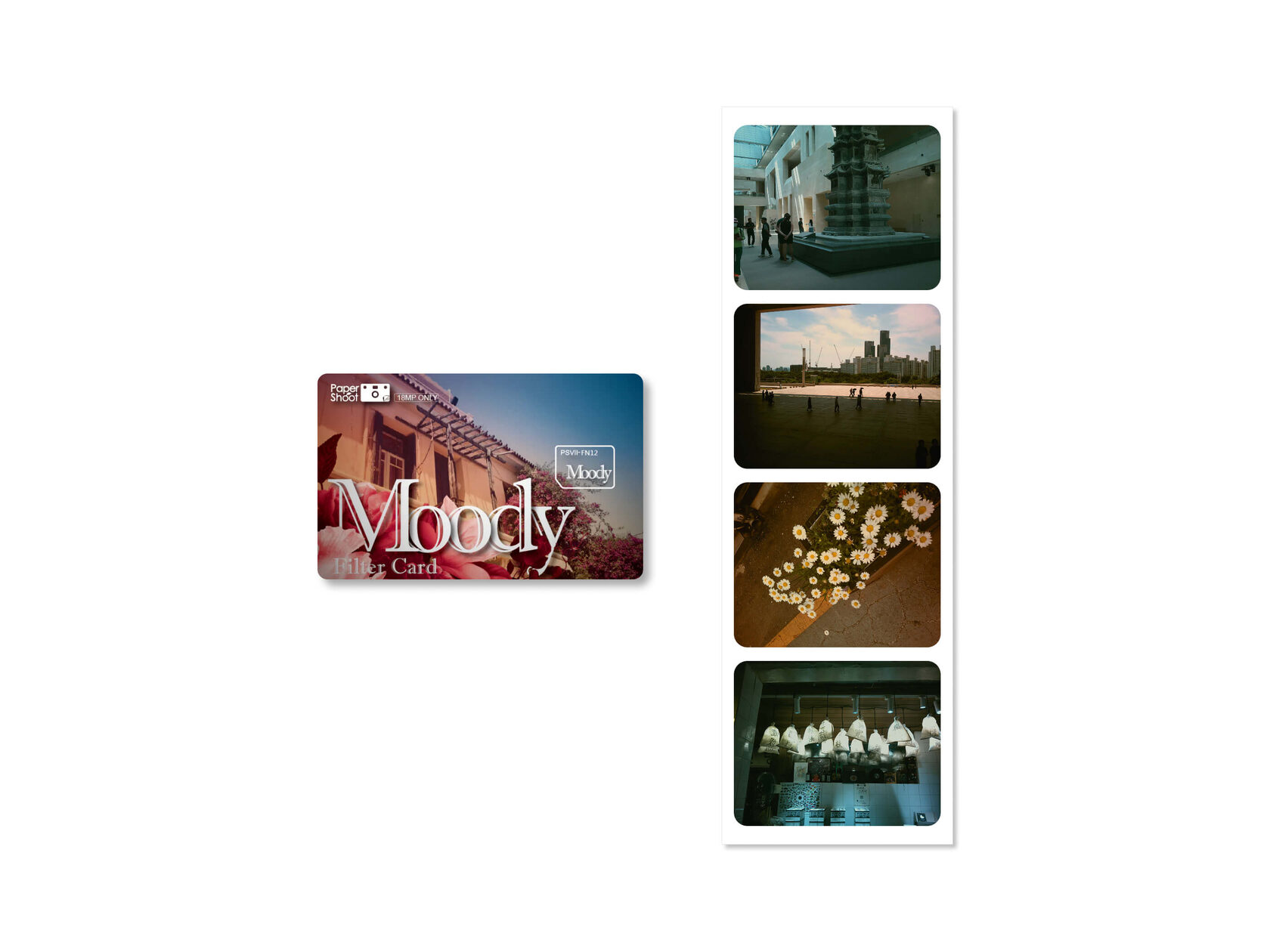Moody filter card