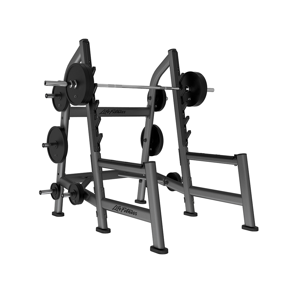 Олимпийская стойка для приседаний со штангой Life Fitness Signature ...