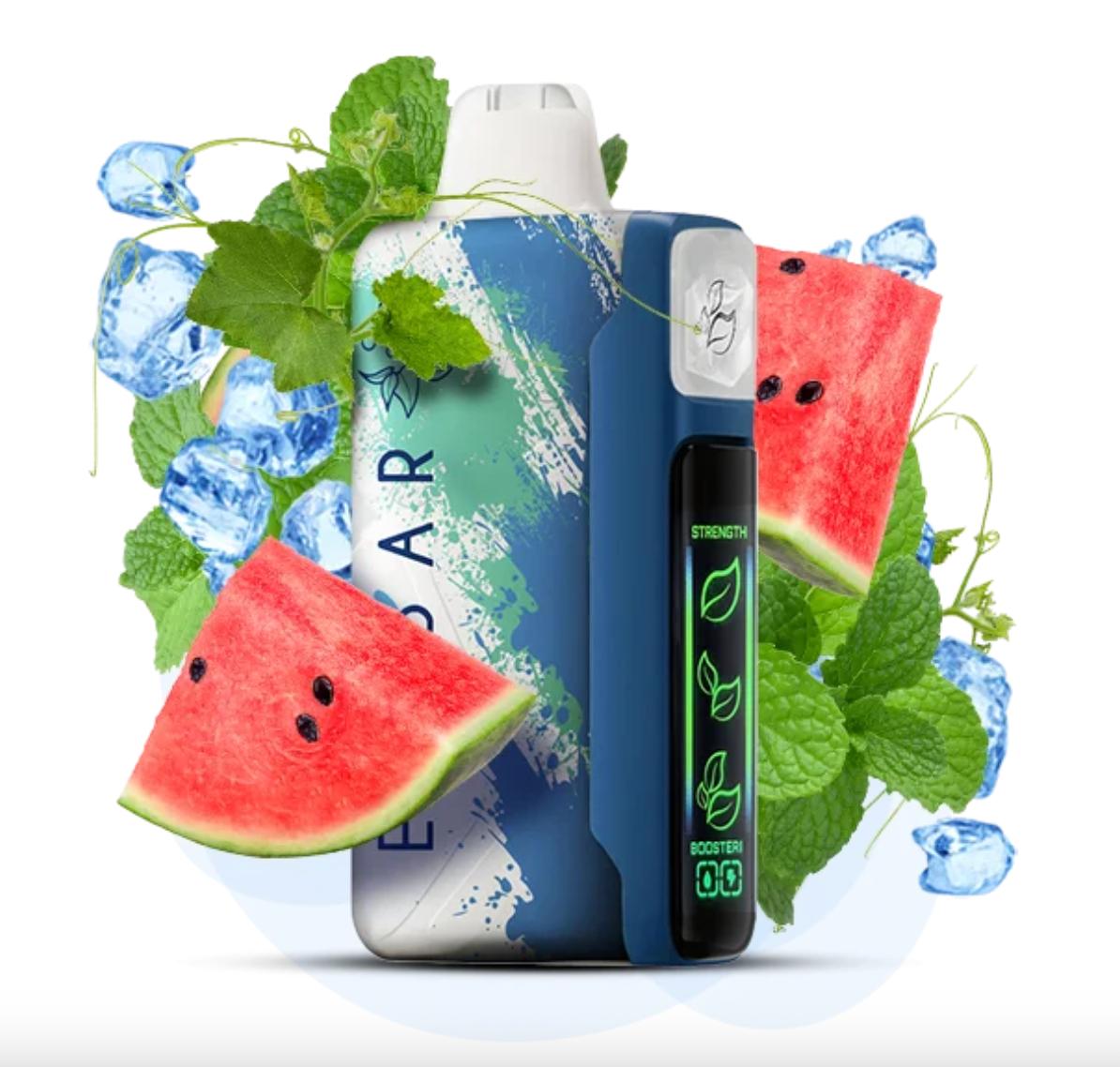 Одноразовая электронная сигарета Elf Bar Nic King 30000 - Chilly River ...