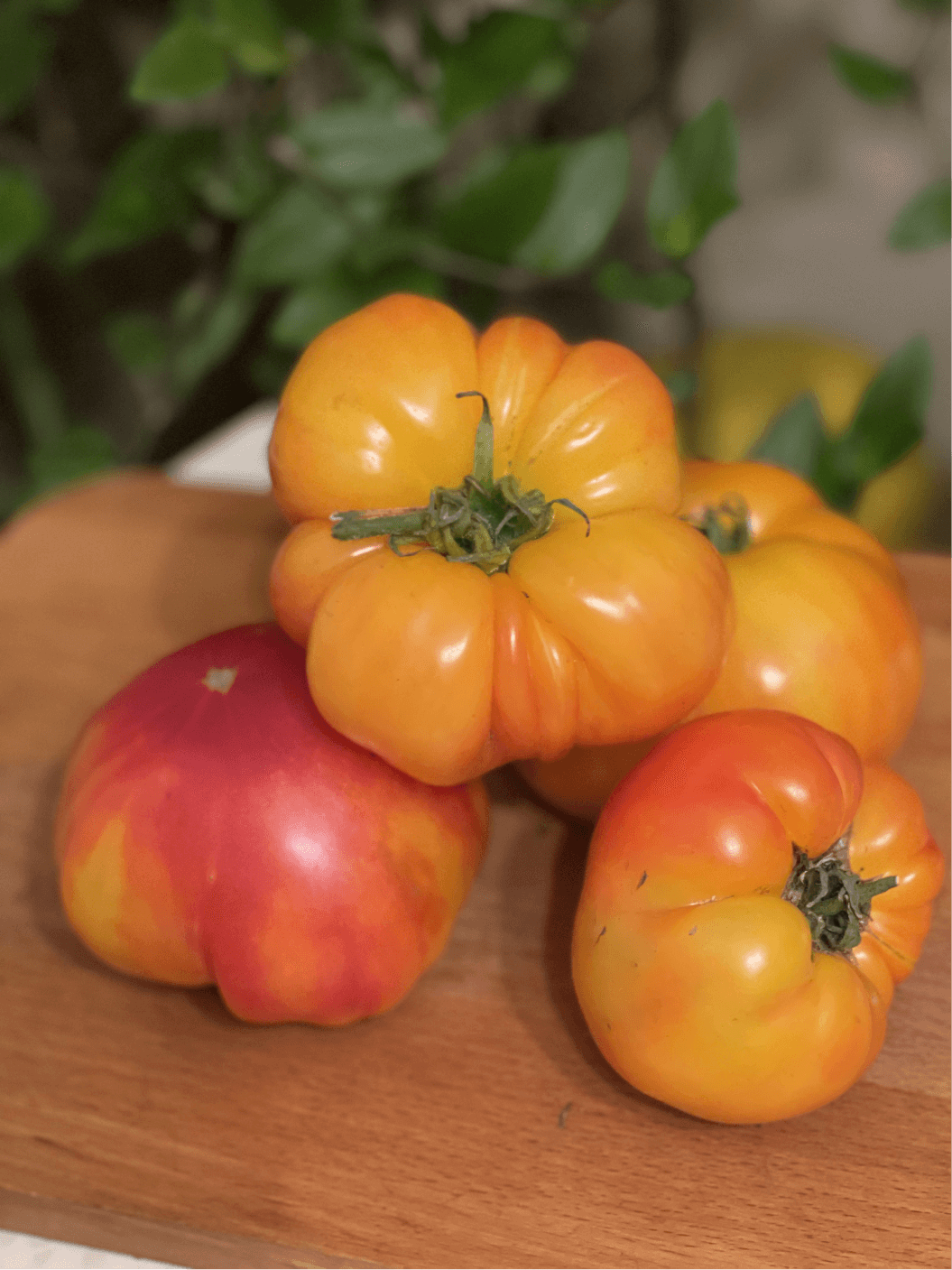 Мамонт немецкий золотой