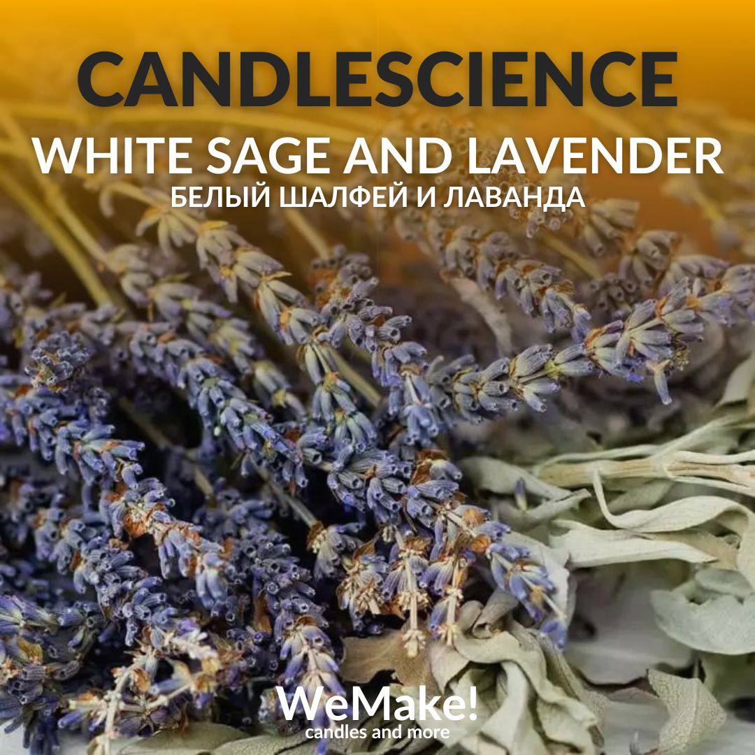 Ароматическое масло CandleScience, Sandalwood, Сандаловое дерево