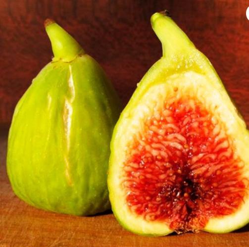 Інжир бурштиновий Кадота (ремонтантний, ранній сорт)