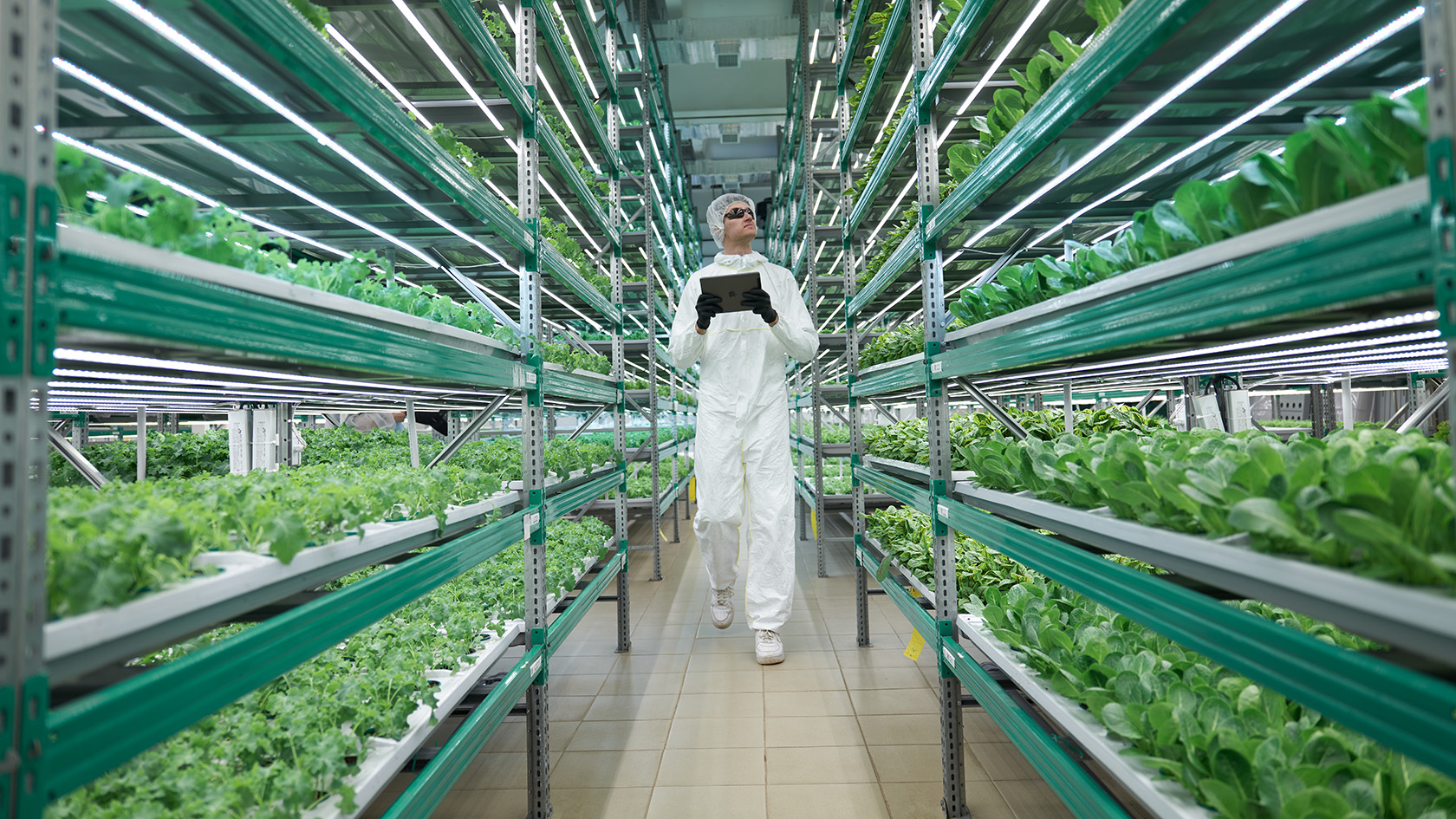 Farm Management Software Guide - iFarm Growtune