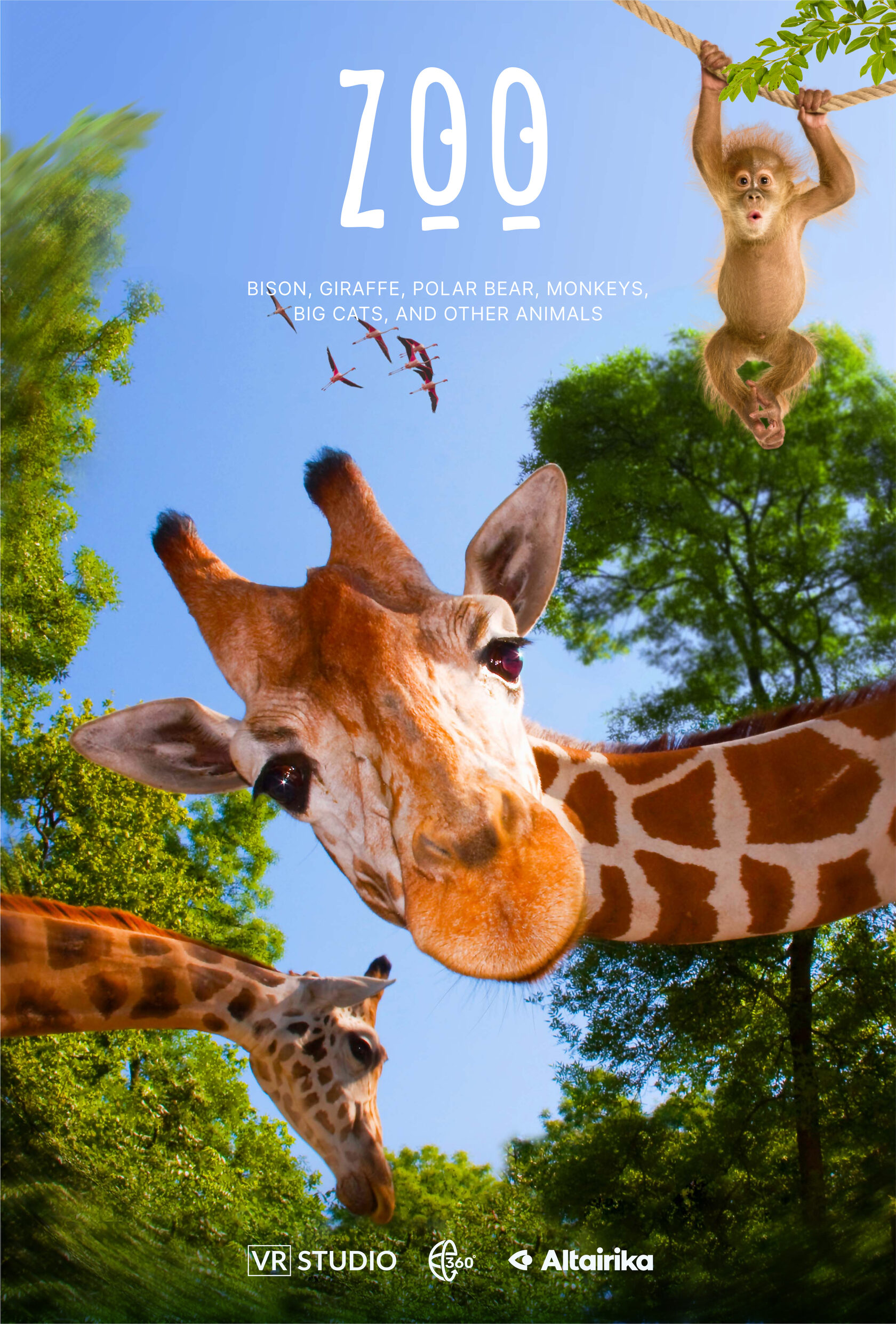 Zoo 360