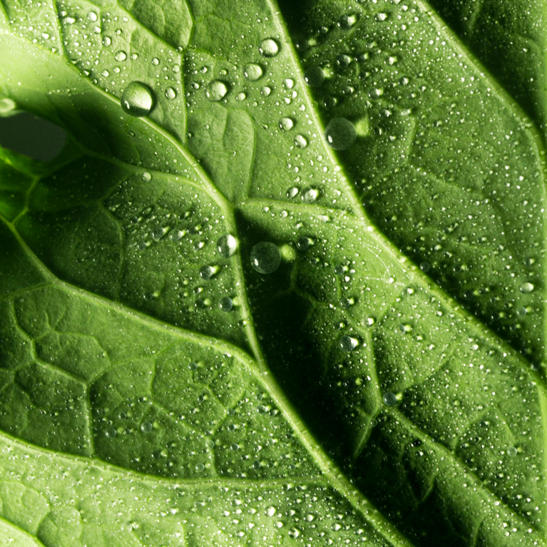 ПроФит - посадка крупномеров