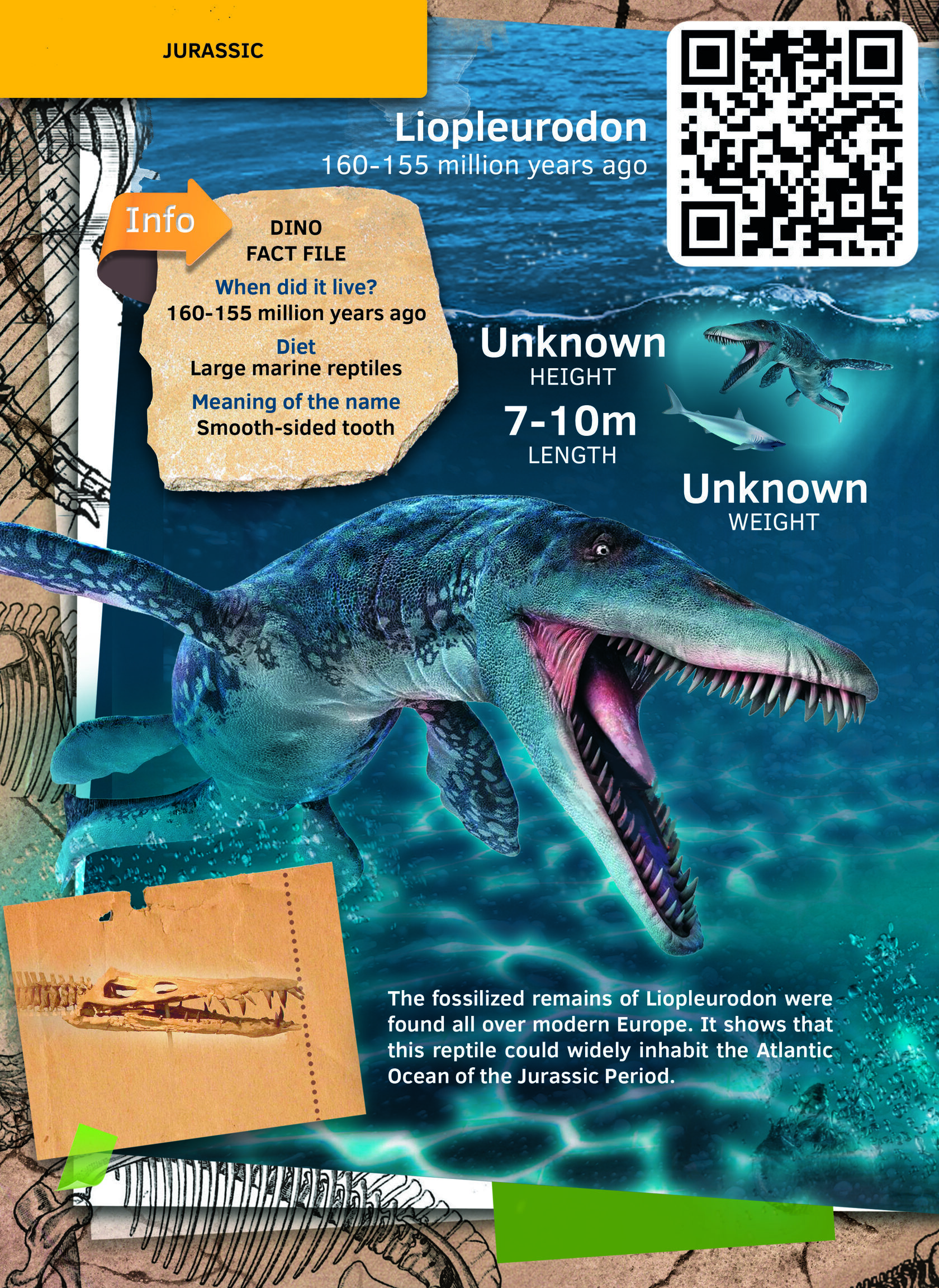 LIOPLEURODON