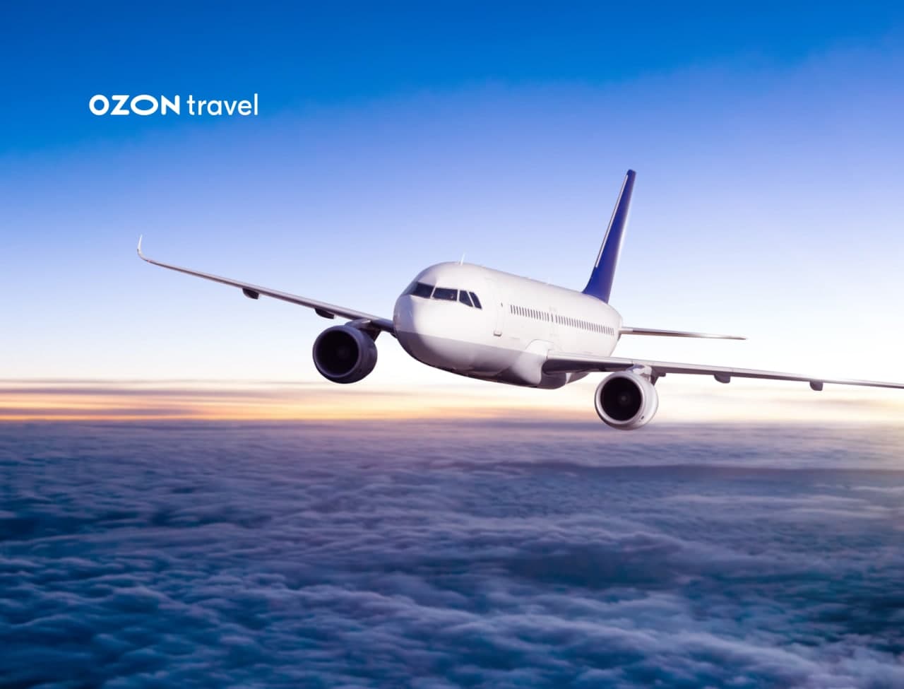 Ozon launches hotel booking service, plans to develop travel marketplace