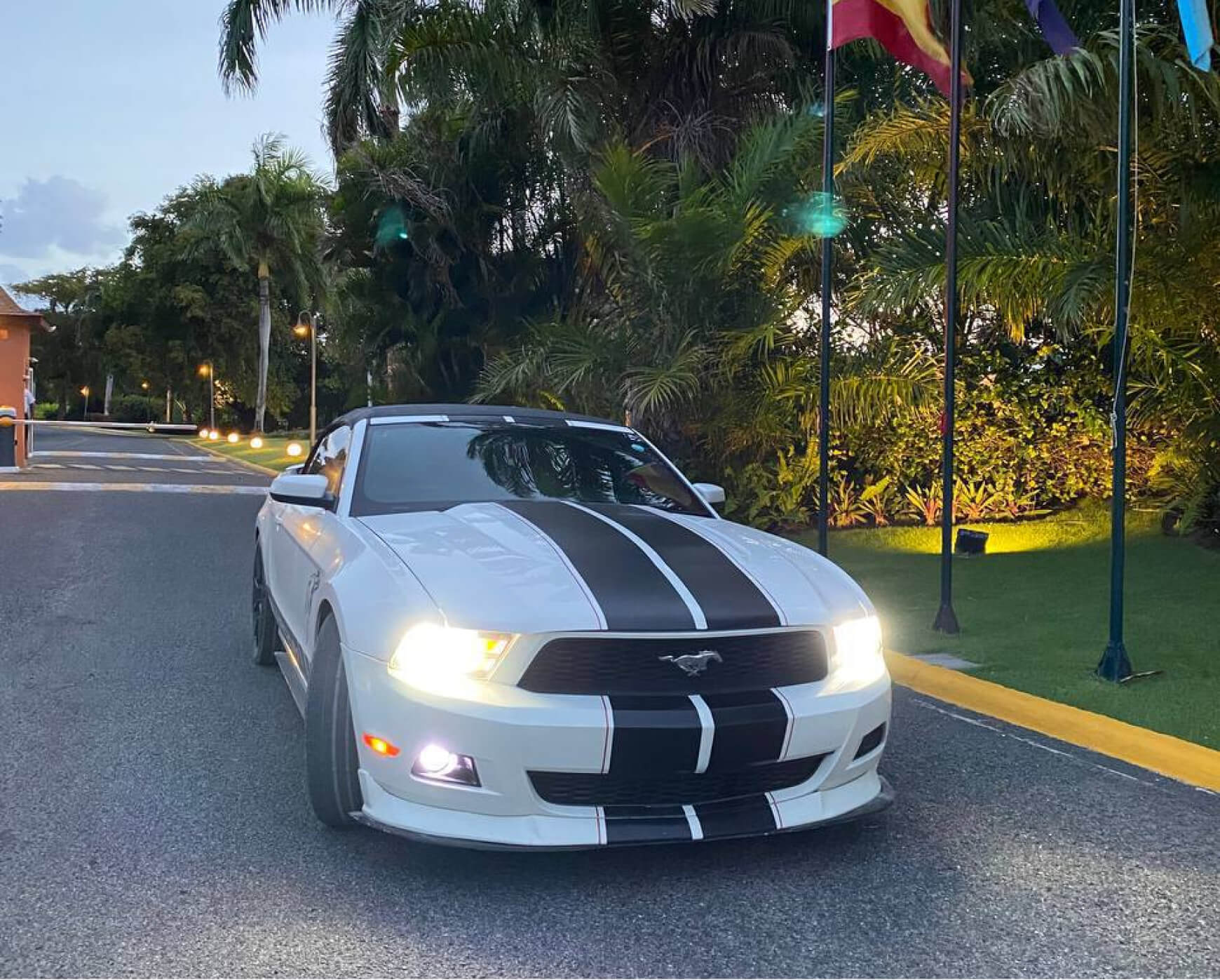 Renta de carros en Punta Cana [Bavaro] - Rent Point