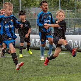 3v3UK