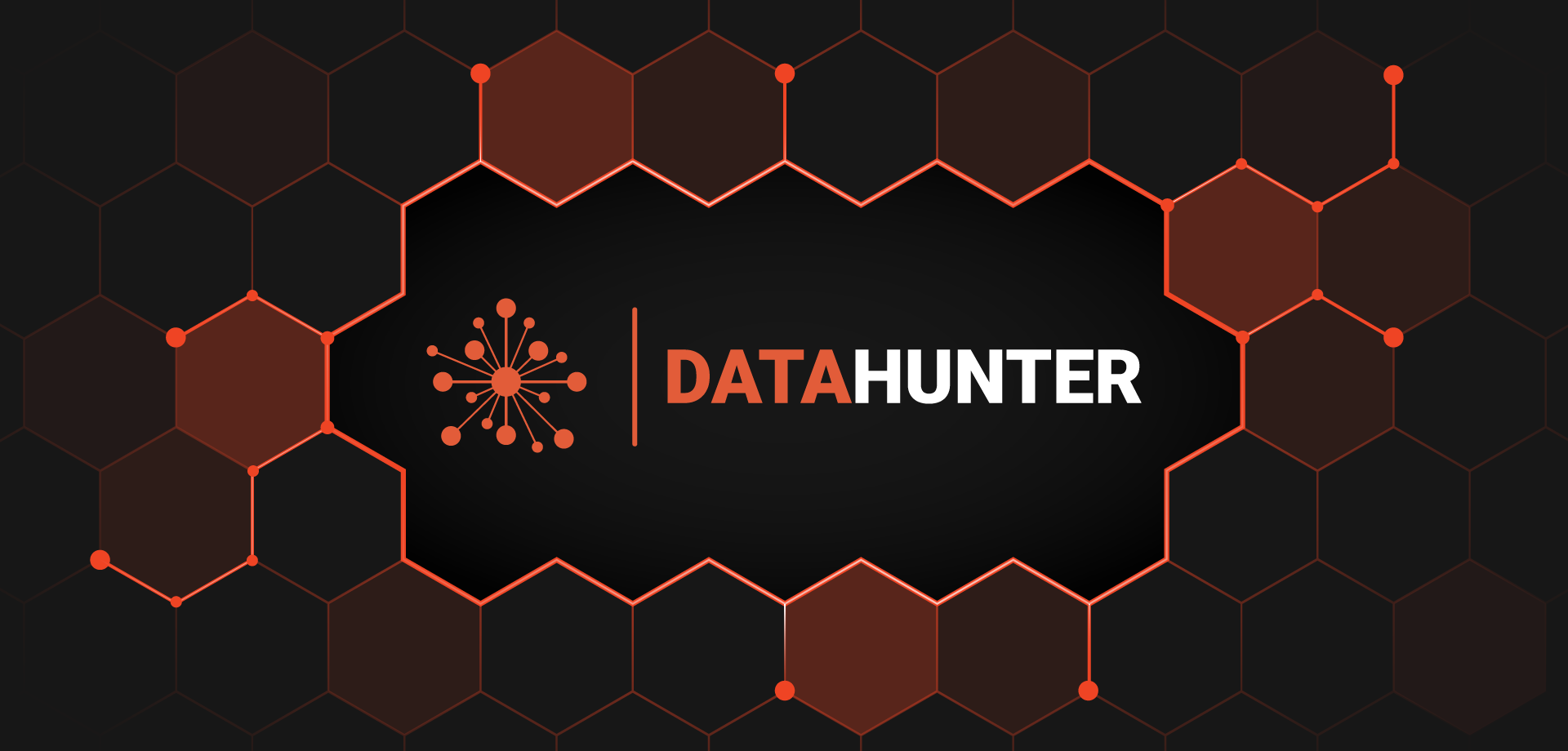 Data Hunter — заказать парсинг данных любой сложности