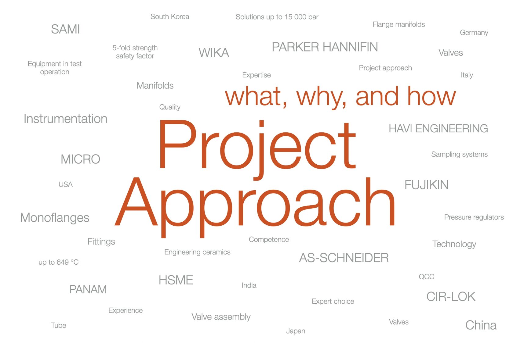 VSP Project Approach | VSP-Co.org