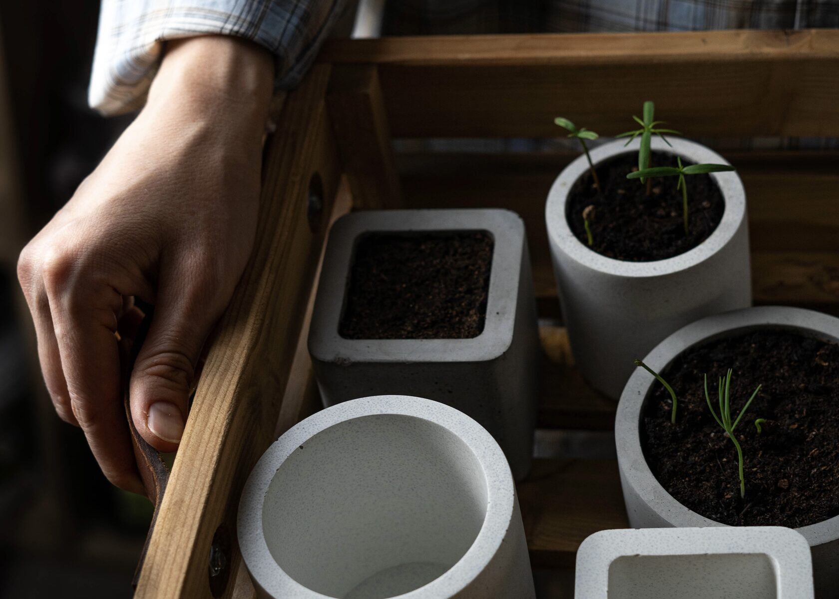 PAKONA ⍋ Tree Growing Kits & Meaningful Gift Sets | Greening the Planet